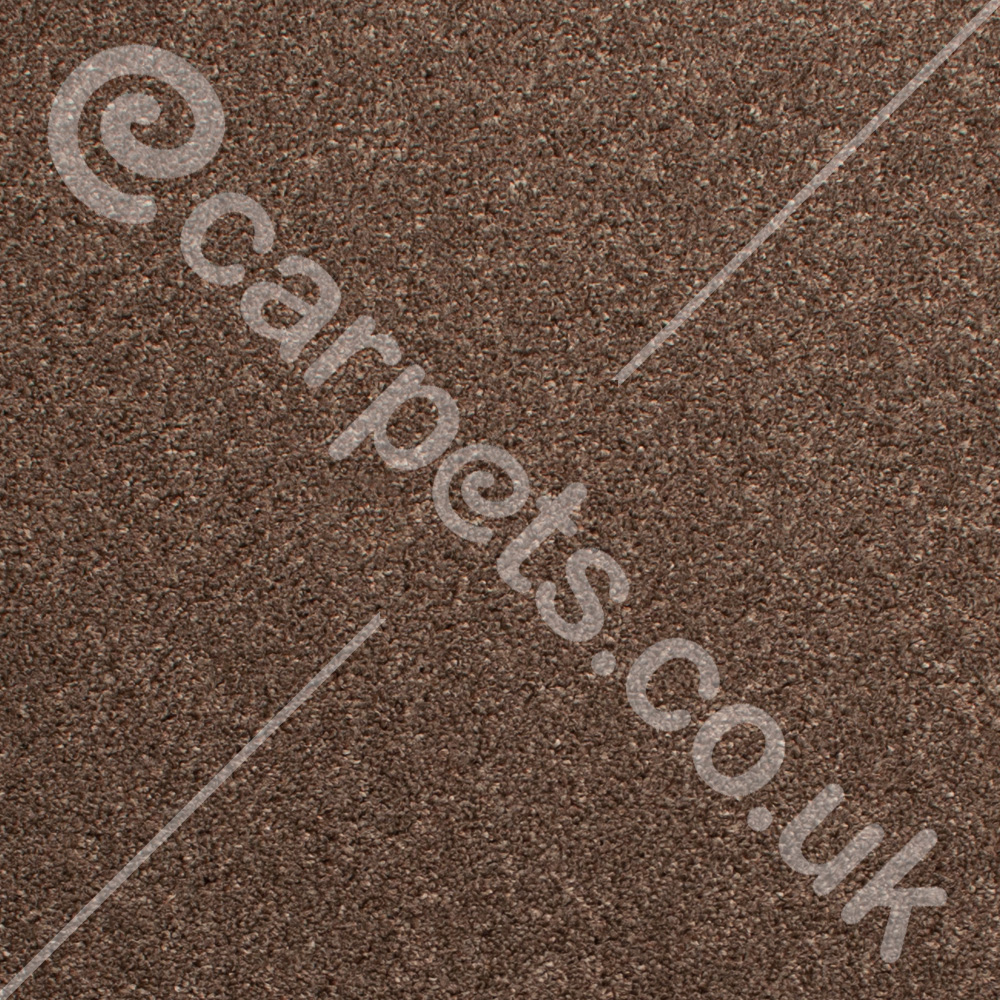 43 Turf Brown - Ecarpets save £££s on 43 Turf Brown today!